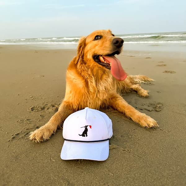 Birdie Retriever-Meet Aubie